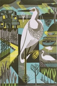 The Family - Clare Curtis