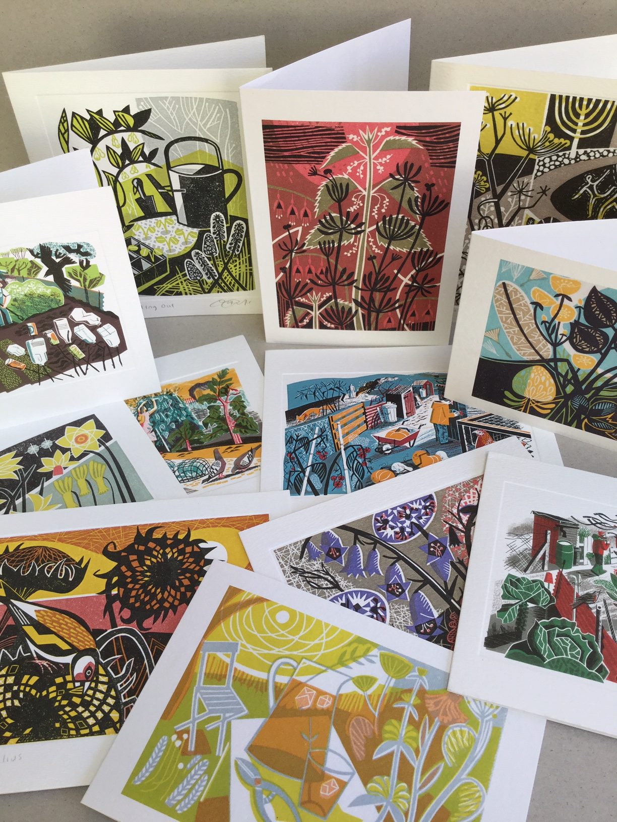 Plants and Gardens - Clare Curtis