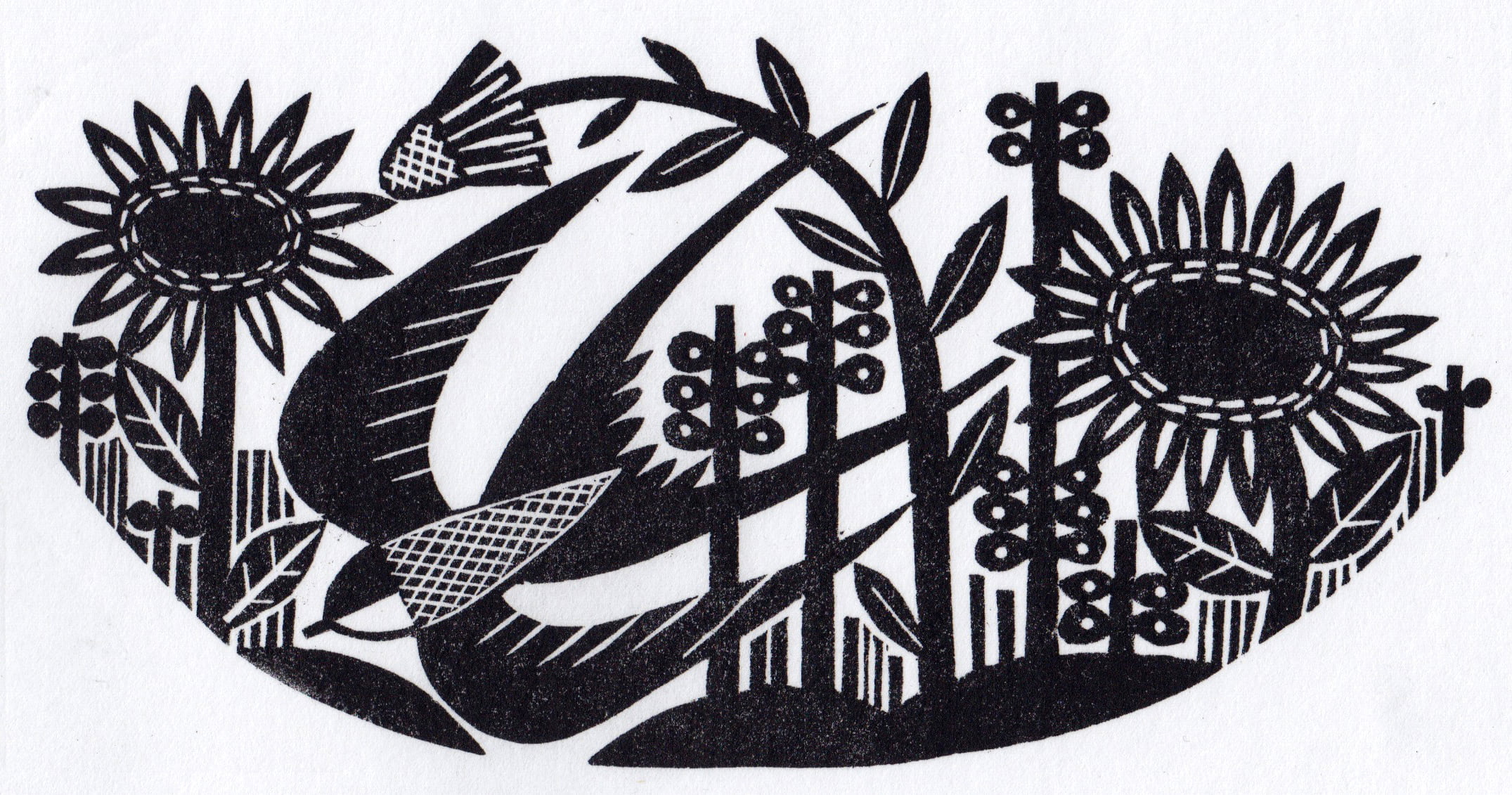 British Illustrator and Printmaker - Clare Curtis