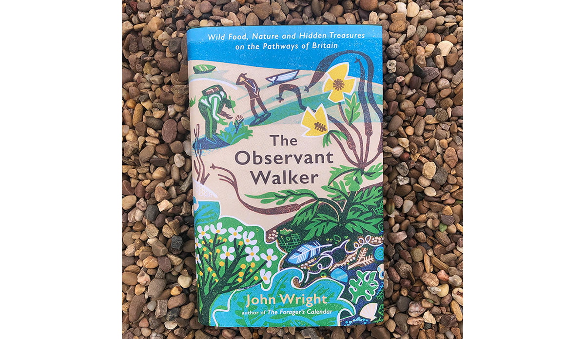 British Illustrator and Printmaker - Clare Curtis